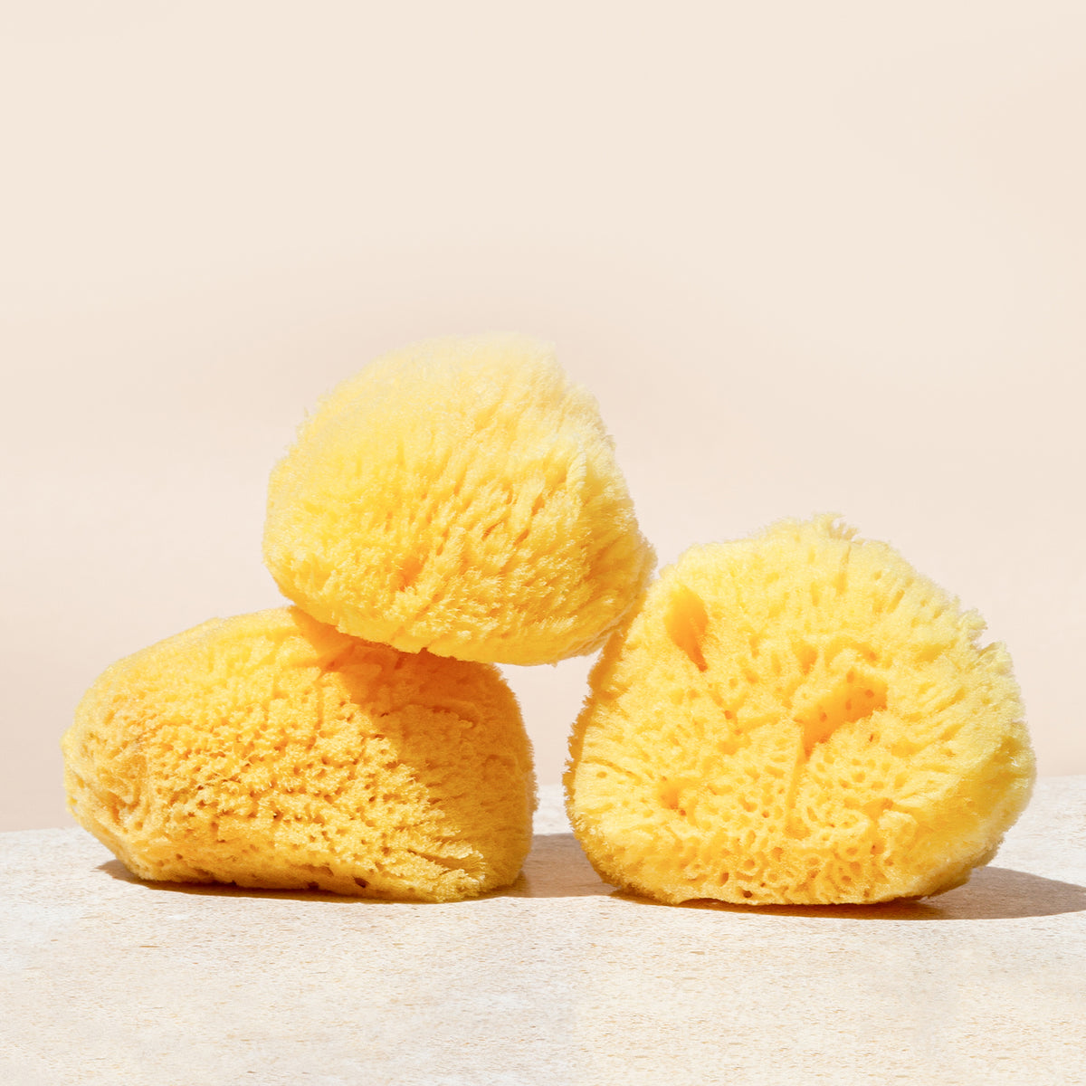 Silk Sea Sponge - Wildcraft